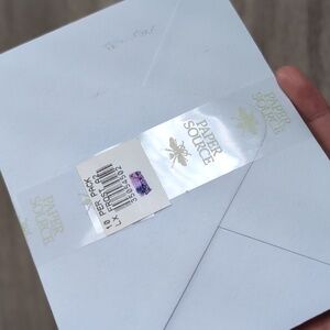 Paper Source | Office | Nwt Paper Source A2 Envelopes | Poshmark